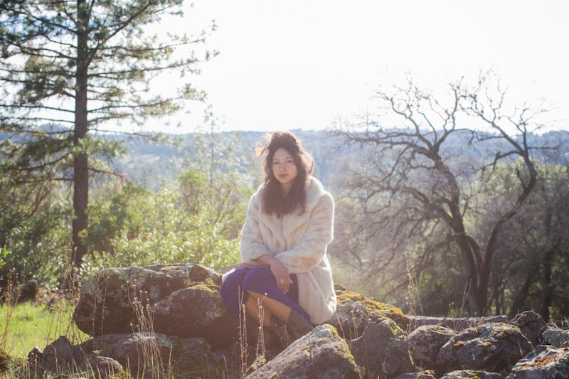 Artists You Should Know: Shana Cleveland Offers Ode To California On ...