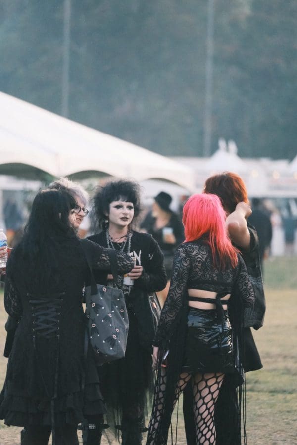 Siouxsie Reigns Witchy Supreme at Cruel World, Iggy Pop Delivers ...