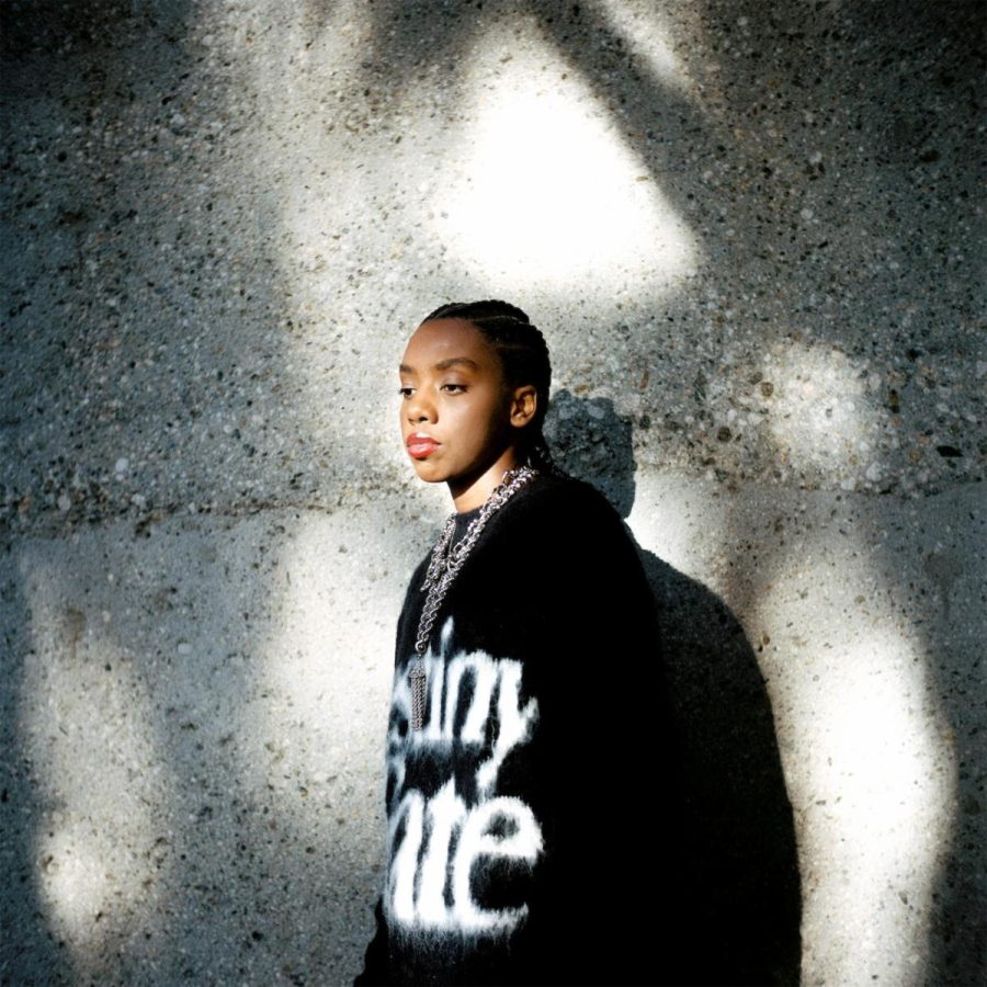 Album Review: Dua Saleh reaches an artistic apex on experimental debut ...